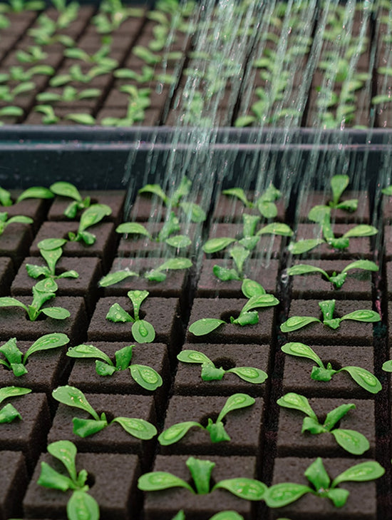 OASIS® Hydroponic Fertilizer 16-4-17 – Oasis Grower Solutions